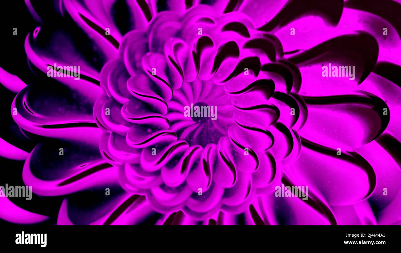 Spinning motion animation floral cartoon hi-res stock photography and ...