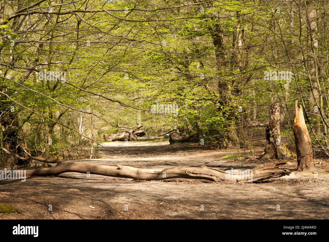 Loughton brook hi-res stock photography and images - Alamy