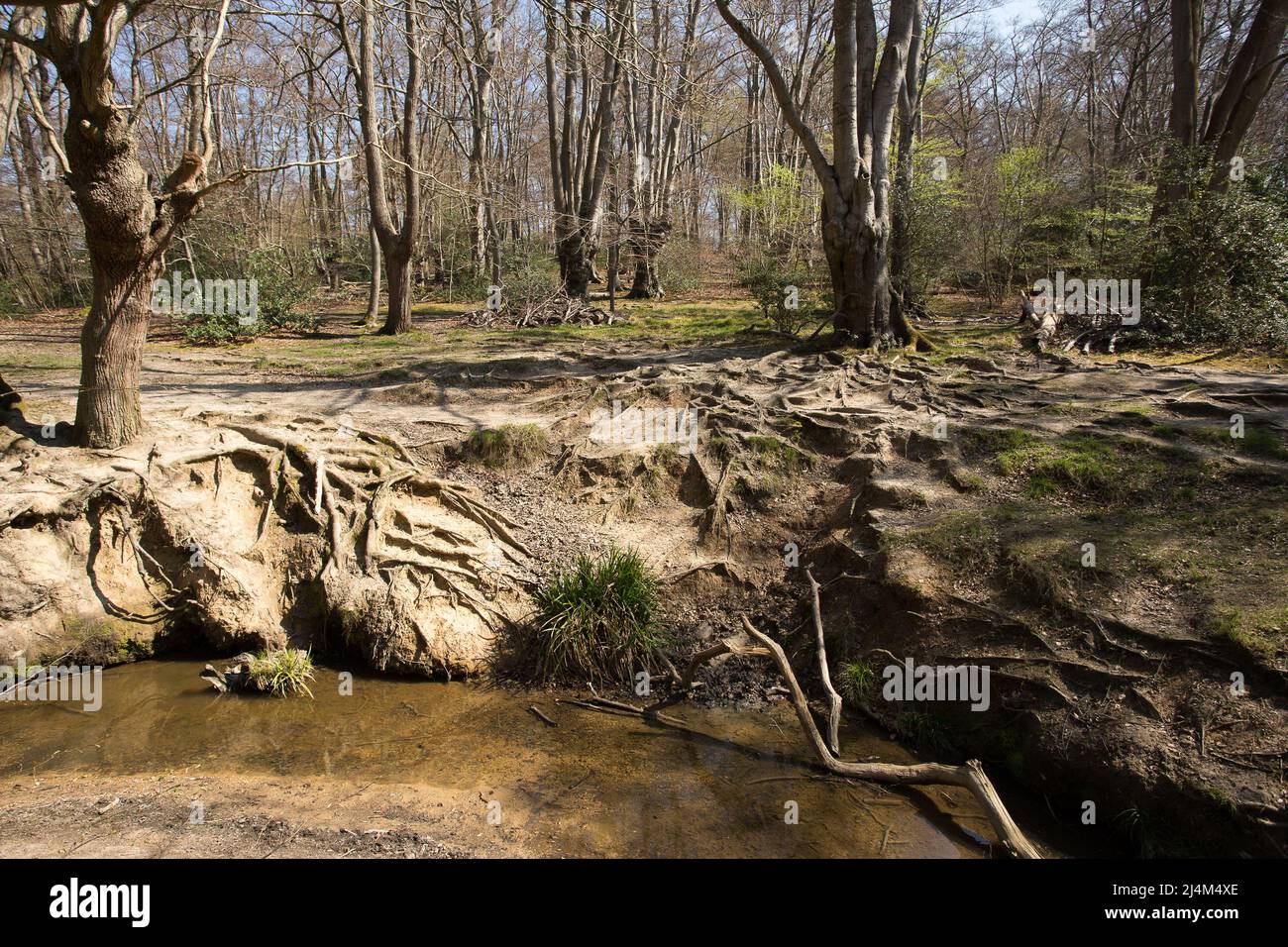 Loughton brook hi-res stock photography and images - Alamy
