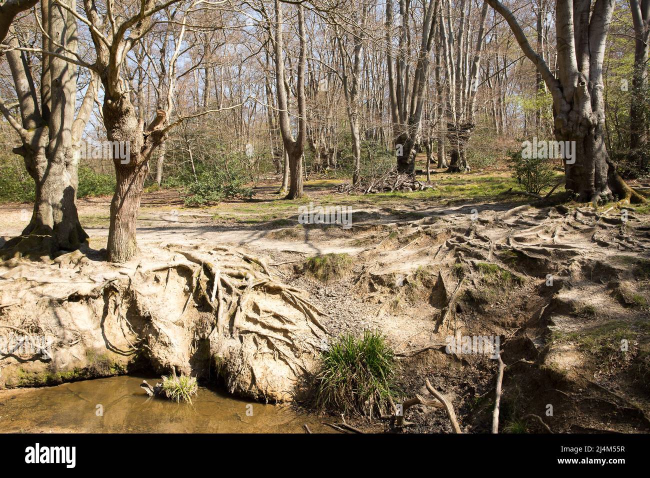 Loughton brook hi-res stock photography and images - Alamy
