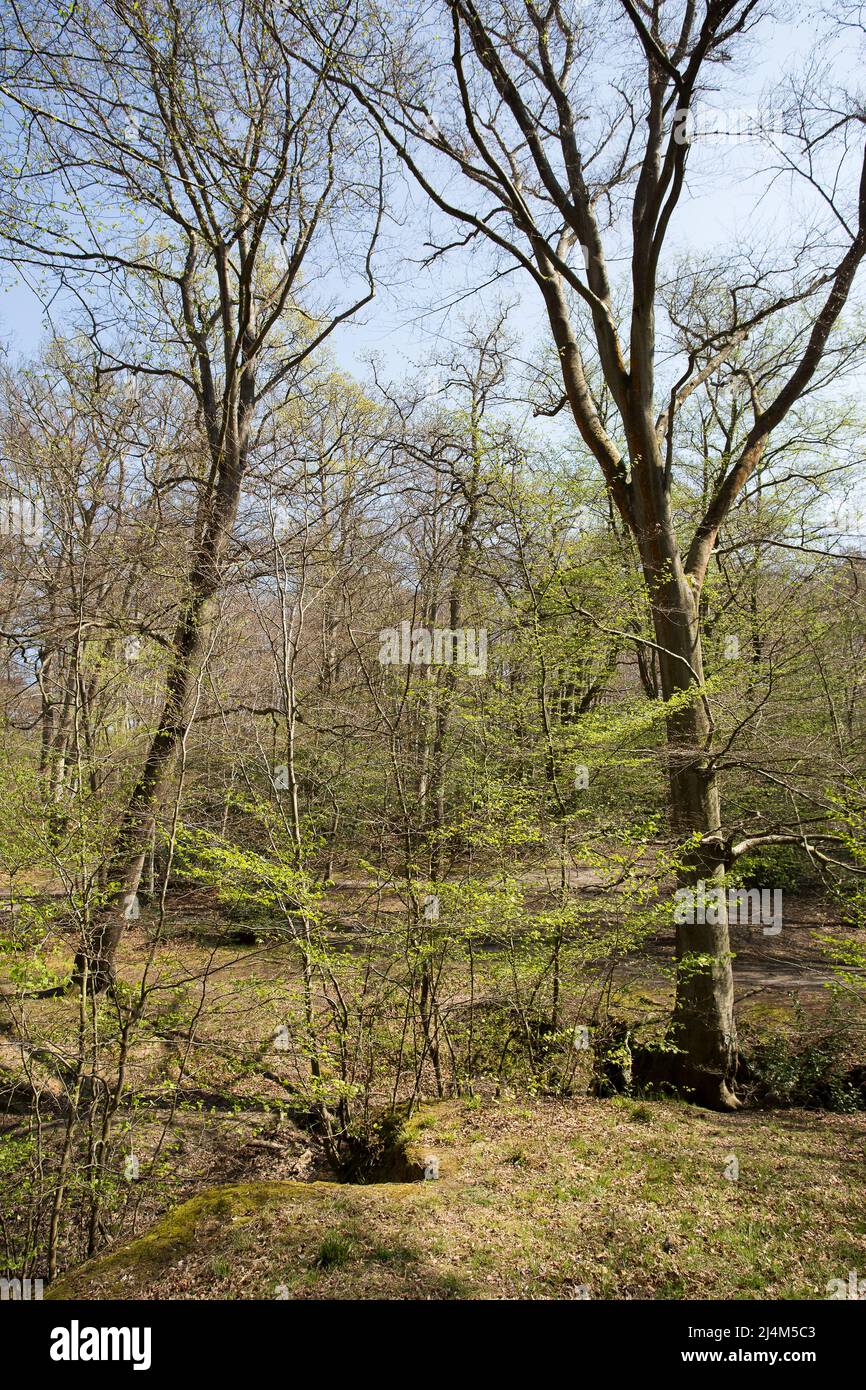 Loughton brook hi-res stock photography and images - Alamy