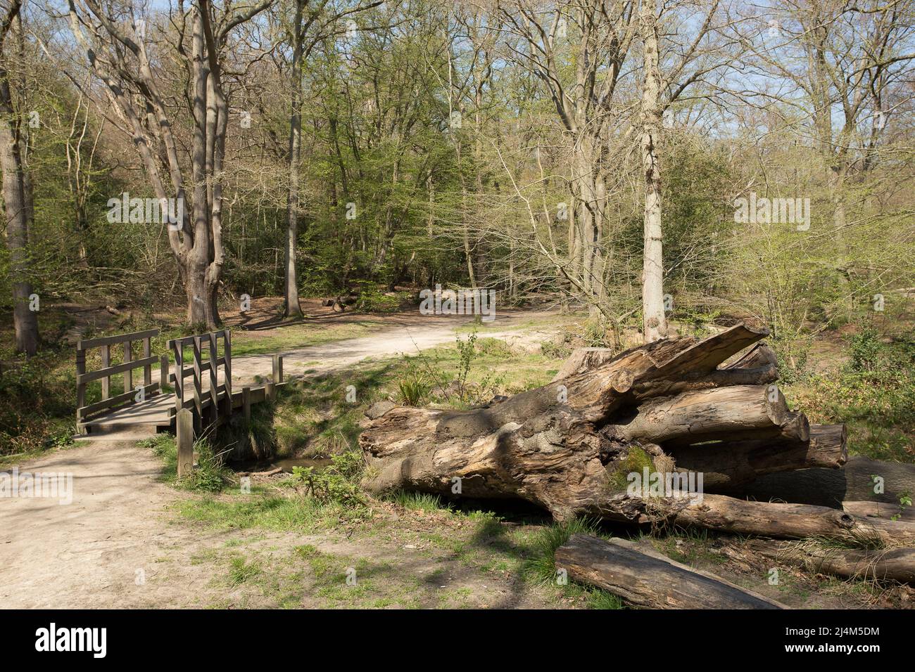 Loughton brook hi-res stock photography and images - Alamy