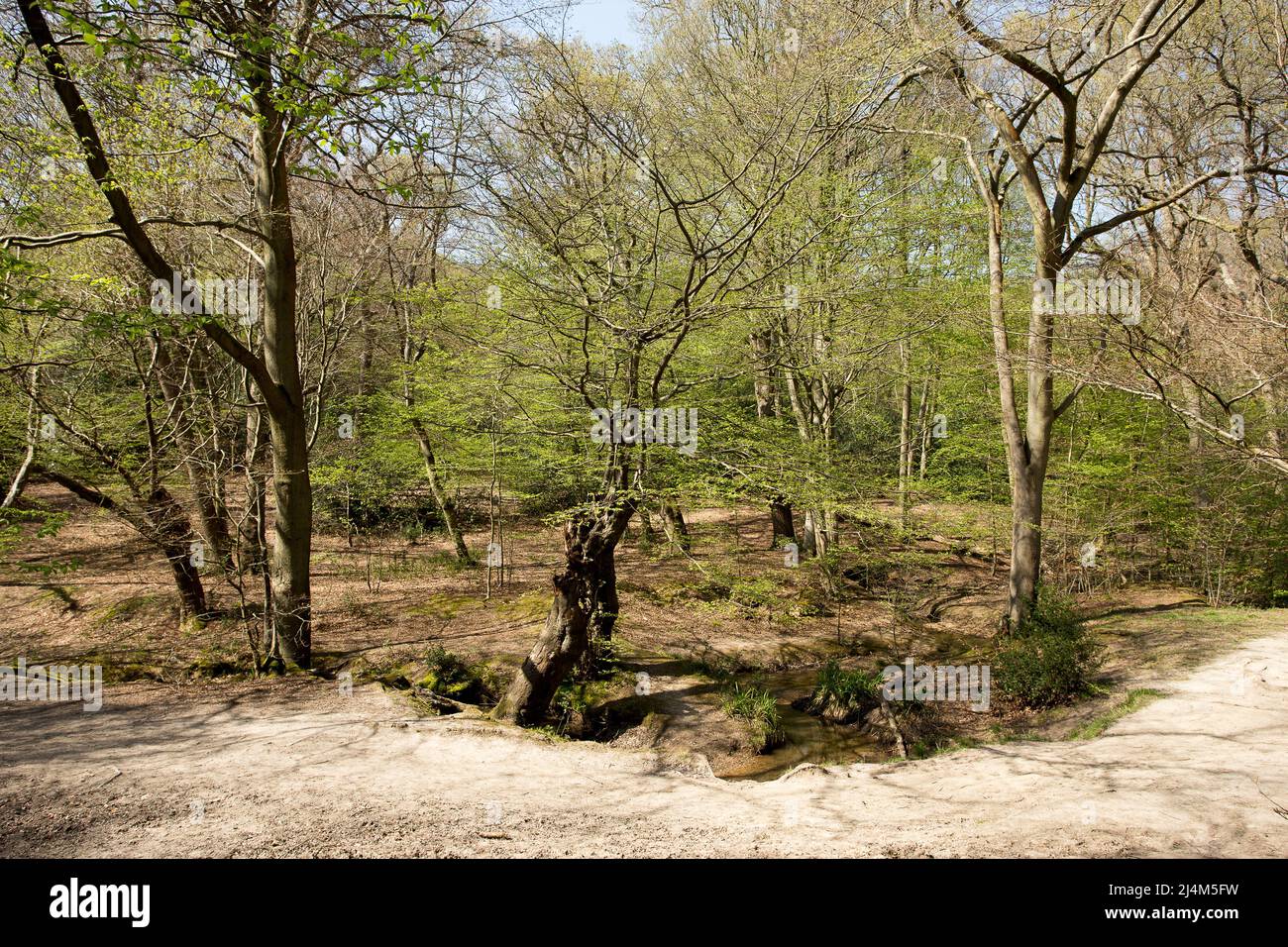 Loughton brook hi-res stock photography and images - Alamy