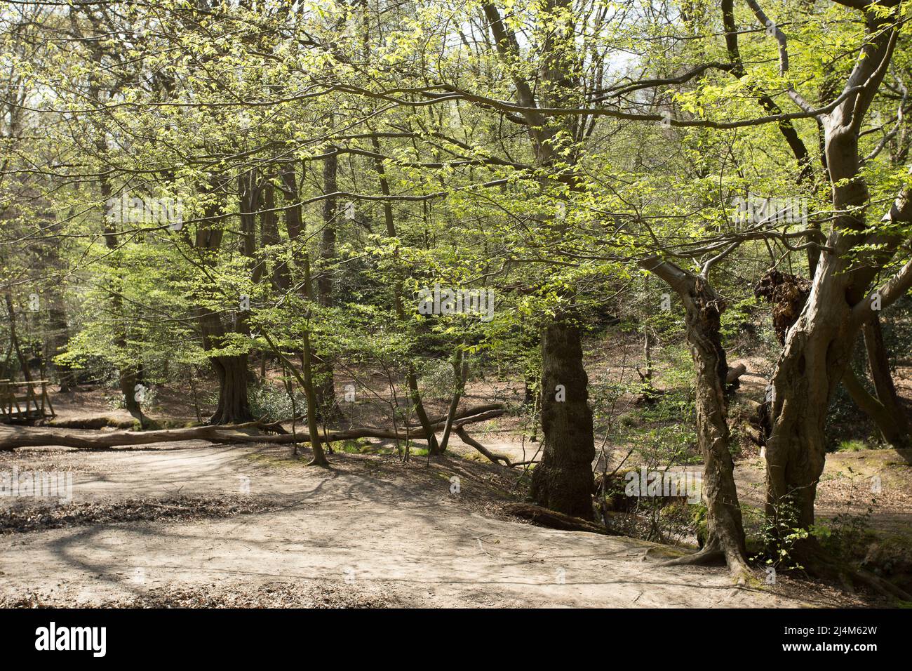Loughton brook hi-res stock photography and images - Alamy