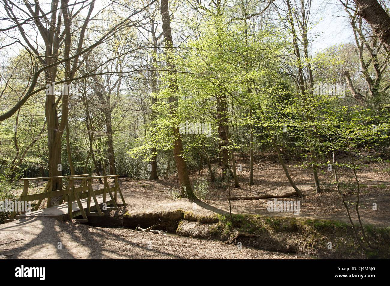 Loughton brook hi-res stock photography and images - Alamy