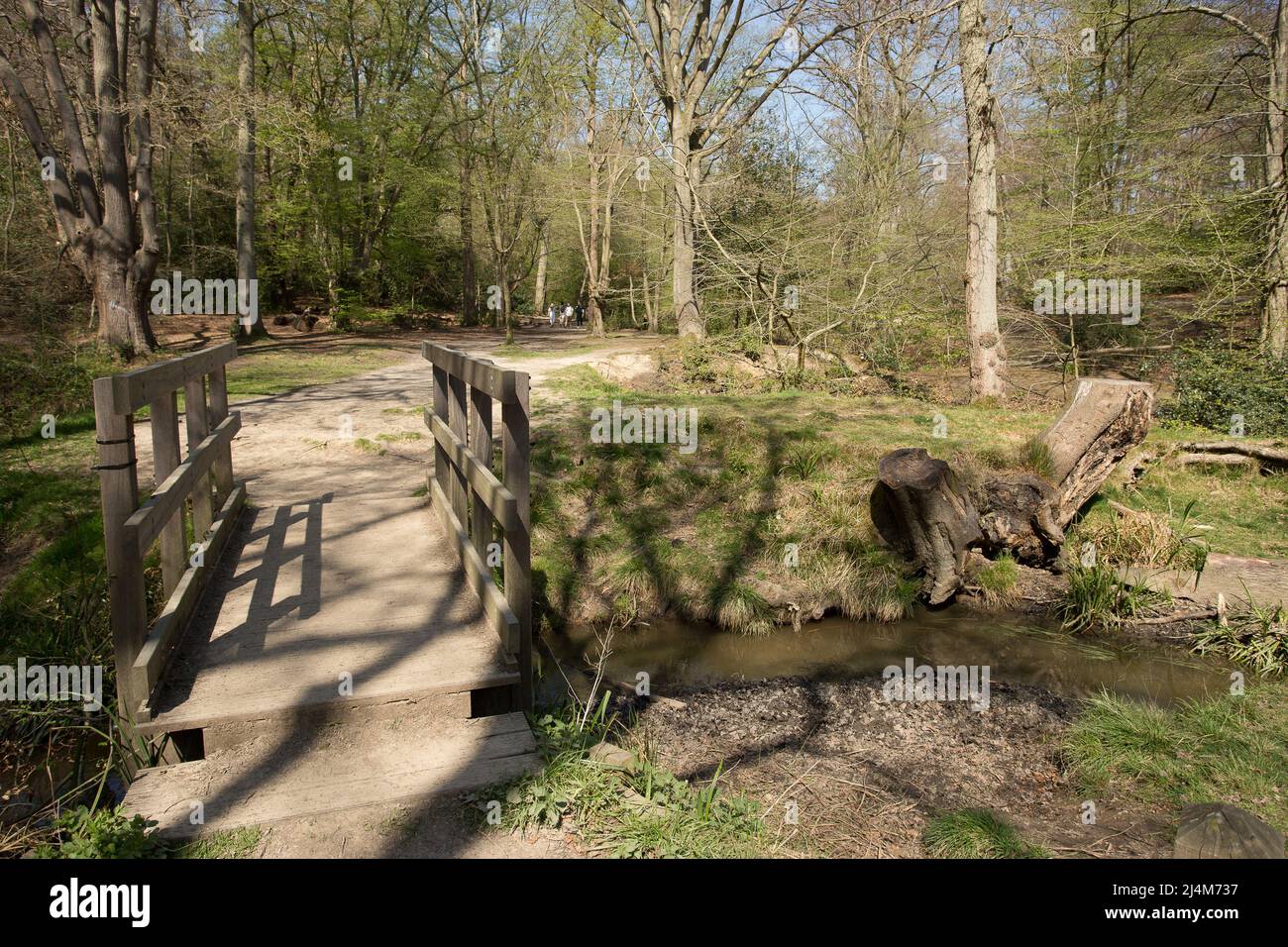 Strawberry Hill Epping Forest Essex, England UK Europe Stock Photo - Alamy