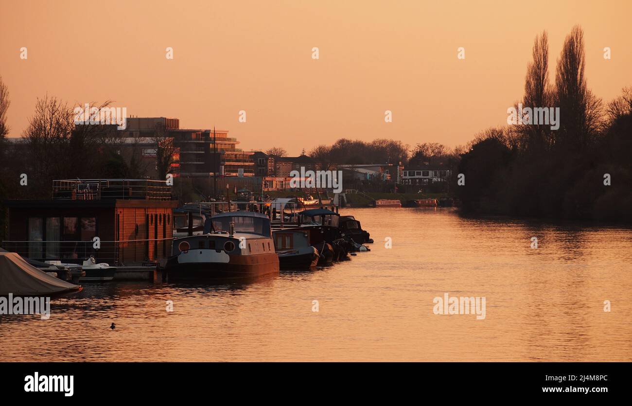 Boats moored on the River Thames near Hampton Court in the evening ...