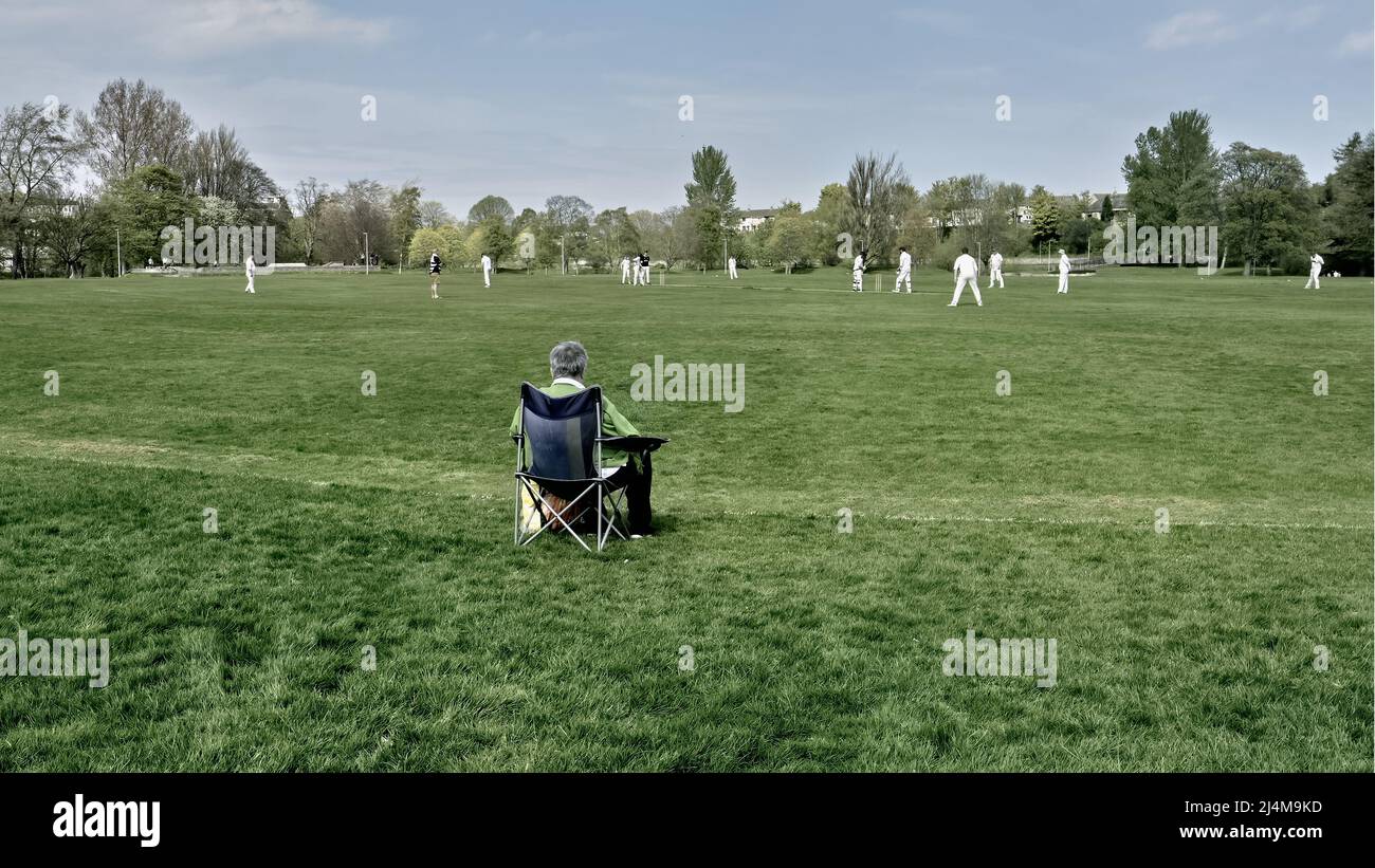 Social cricket hi-res stock photography and images - Alamy