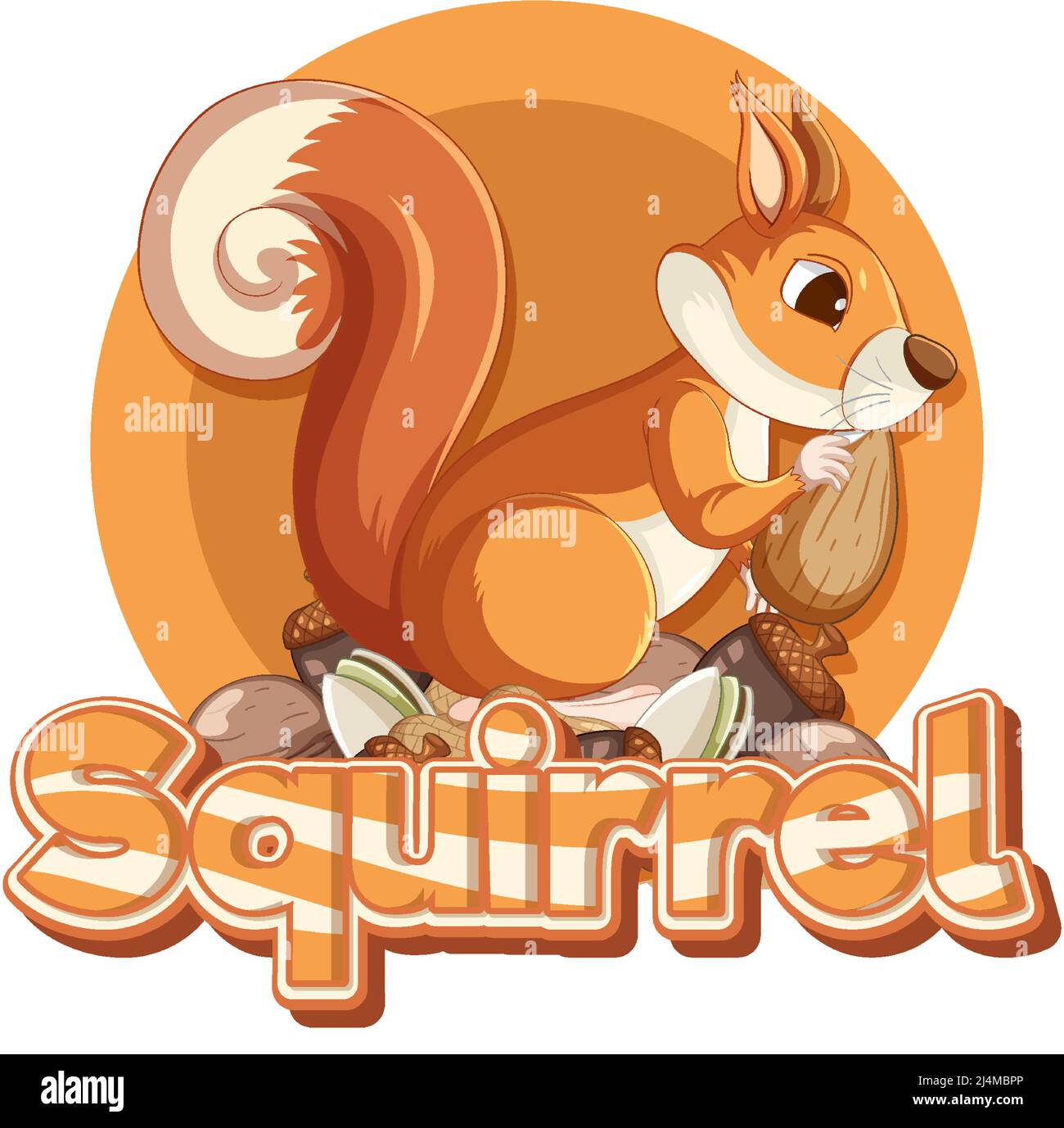 Font design for word squirrel in brown illustration Stock Vector Image ...
