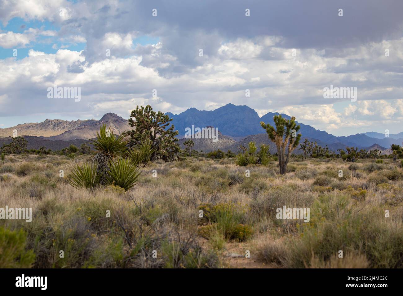 Mojave Desert Landscape Stock Photo - Alamy
