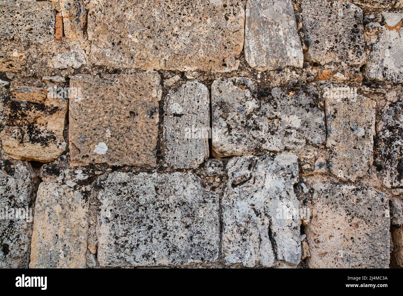 Brick wall of yellow shell rock. Closeup of shellstone texture ...