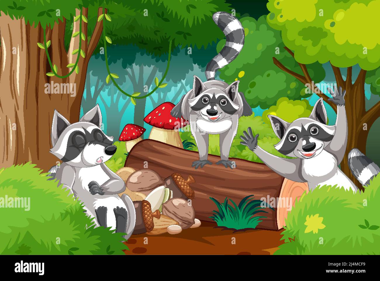 Three raccoons hi-res stock photography and images - Alamy