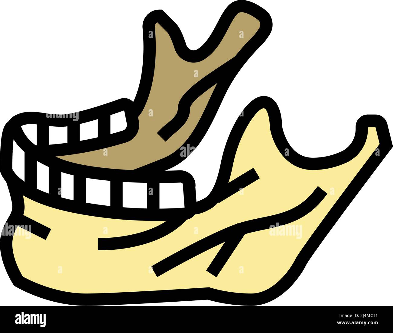 jaw bone color icon vector illustration Stock Vector Image & Art - Alamy