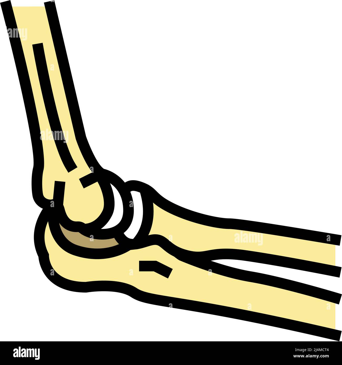 elbow bone color icon vector illustration Stock Vector Image & Art - Alamy