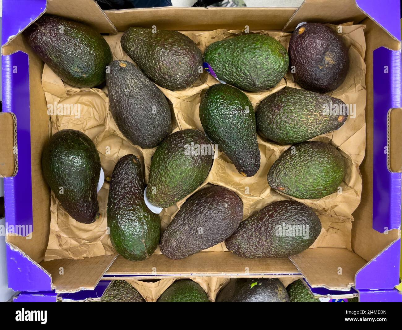 Healthy avocado on display in a retail store Stock Photo - Alamy