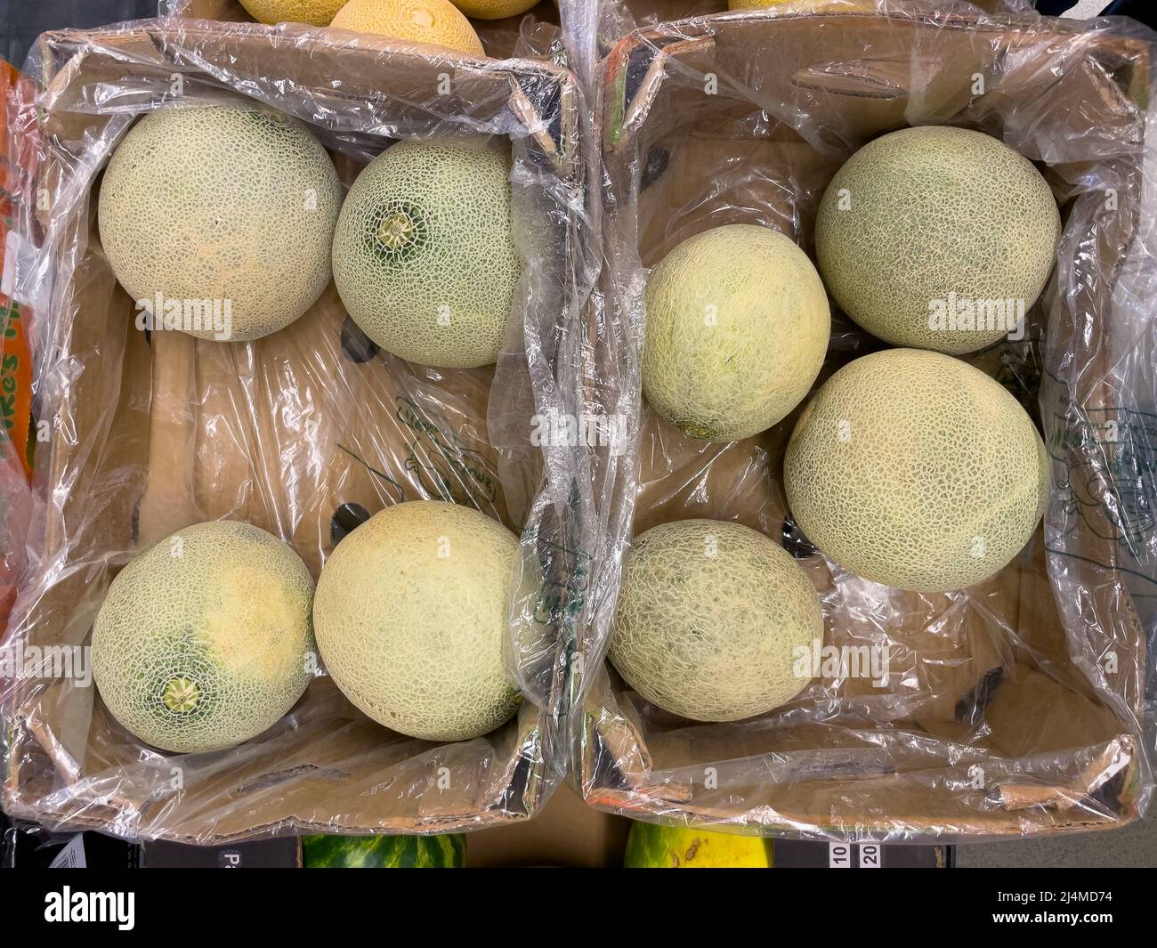 Melon display hi-res stock photography and images - Alamy