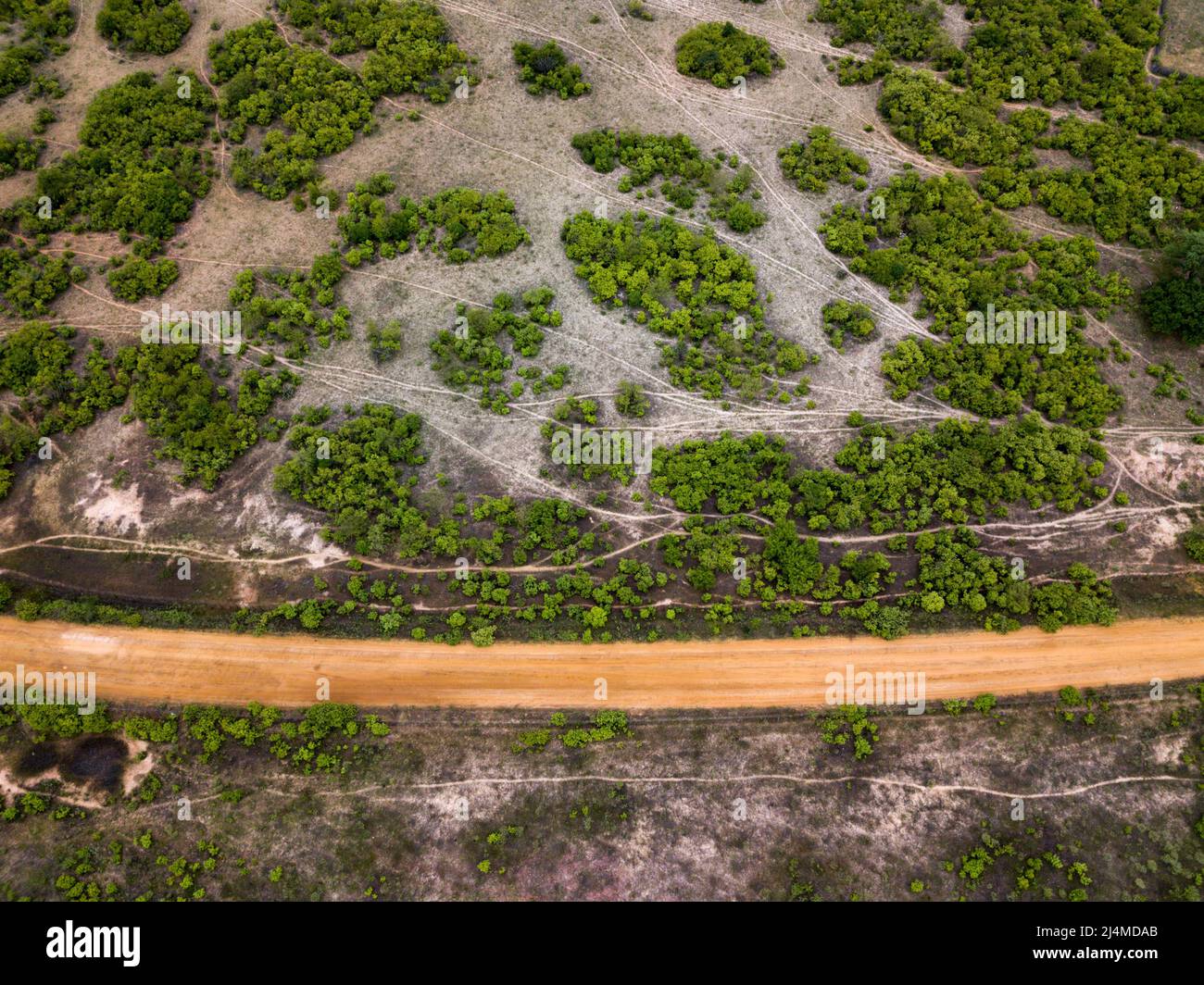 aerial view of dirt road in rural area in caatinga Stock Photo - Alamy