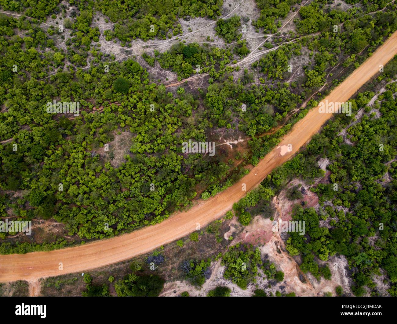 aerial view of dirt road cutting through caatinga forest Stock Photo ...