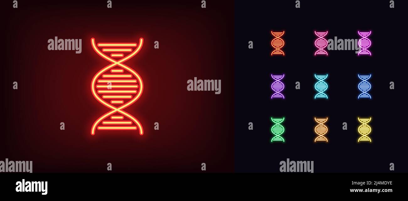 Outline neon DNA icon. Glowing neon DNA helix sign, gene pictogram. DNA ...