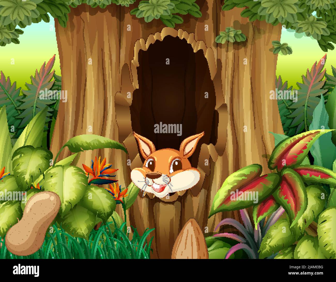 Nature Scene With Many Trees And Squirrel Illustration Stock Vector