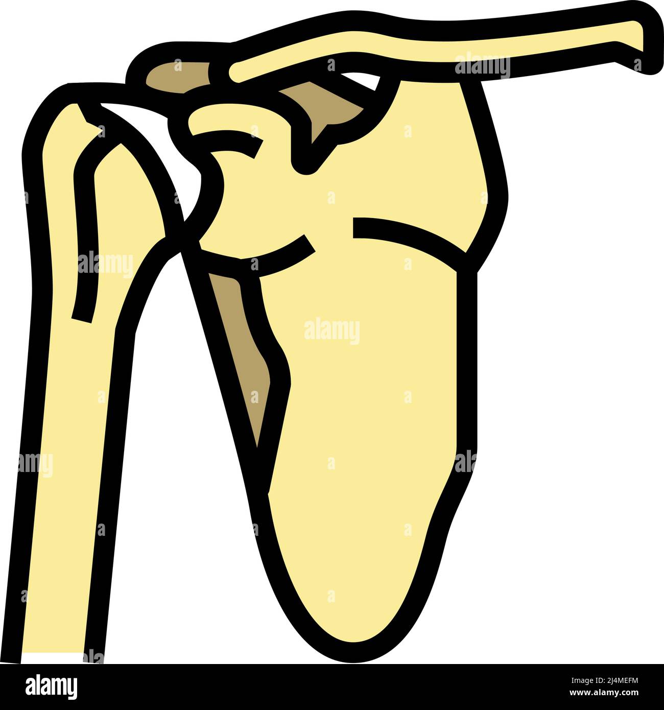 shoulder bone color icon vector illustration Stock Vector Image & Art ...