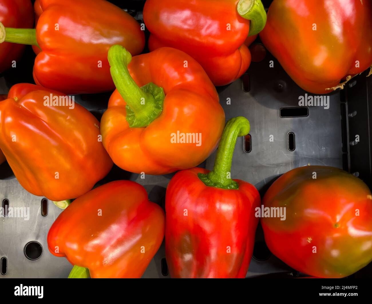 Healthy Paprika on display in a retail store Stock Photo - Alamy