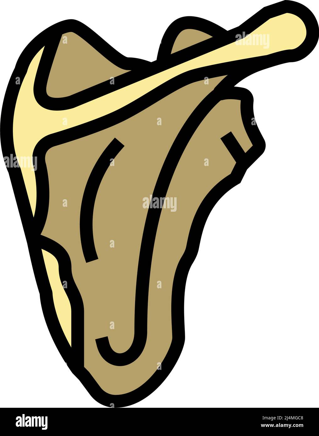 scapula bone color icon vector illustration Stock Vector Image & Art ...