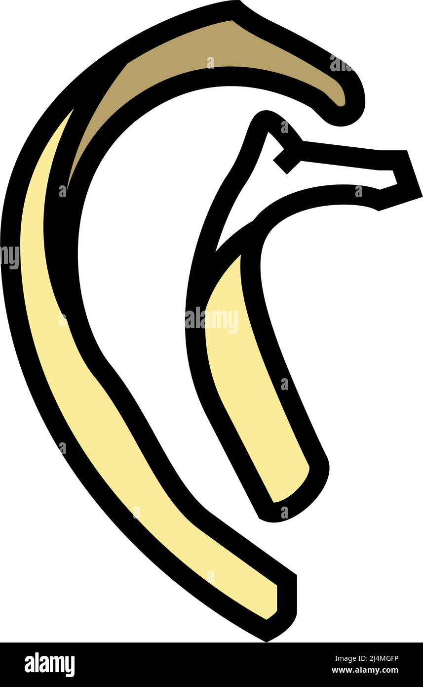 rib bone color icon vector illustration Stock Vector Image & Art - Alamy