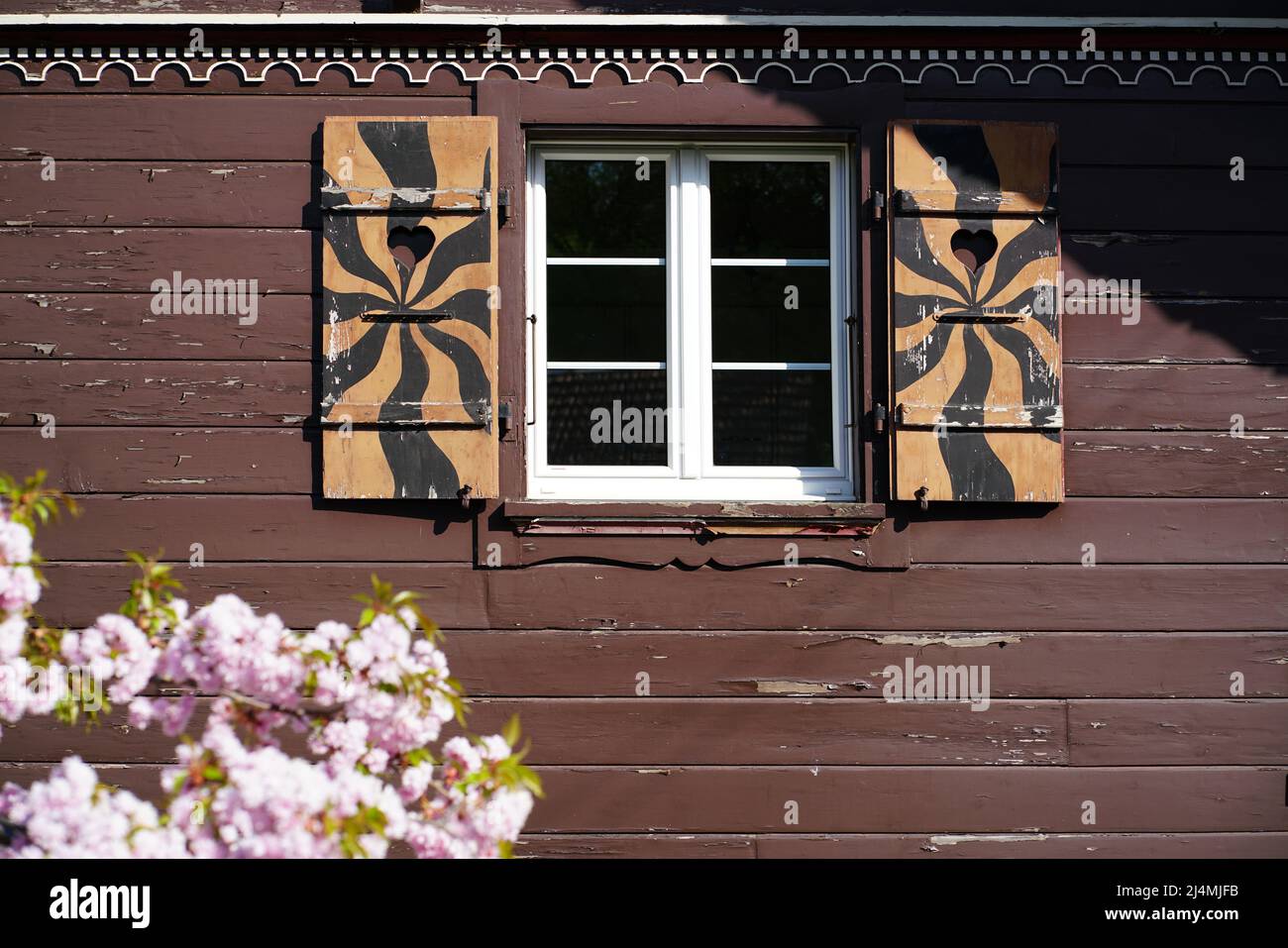 Brown window with blossoming tree in front Stock Photo - Alamy