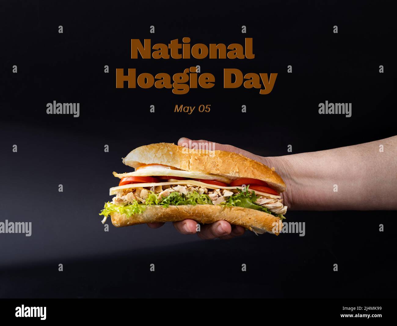 Homemade Hoagie with meat chicken egg, lettuce and Tomato. Official ...