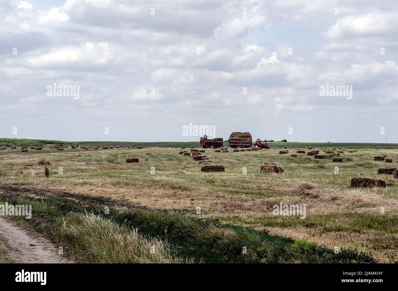 Farm tractor loading hay on a trailer hi-res stock photography and ...
