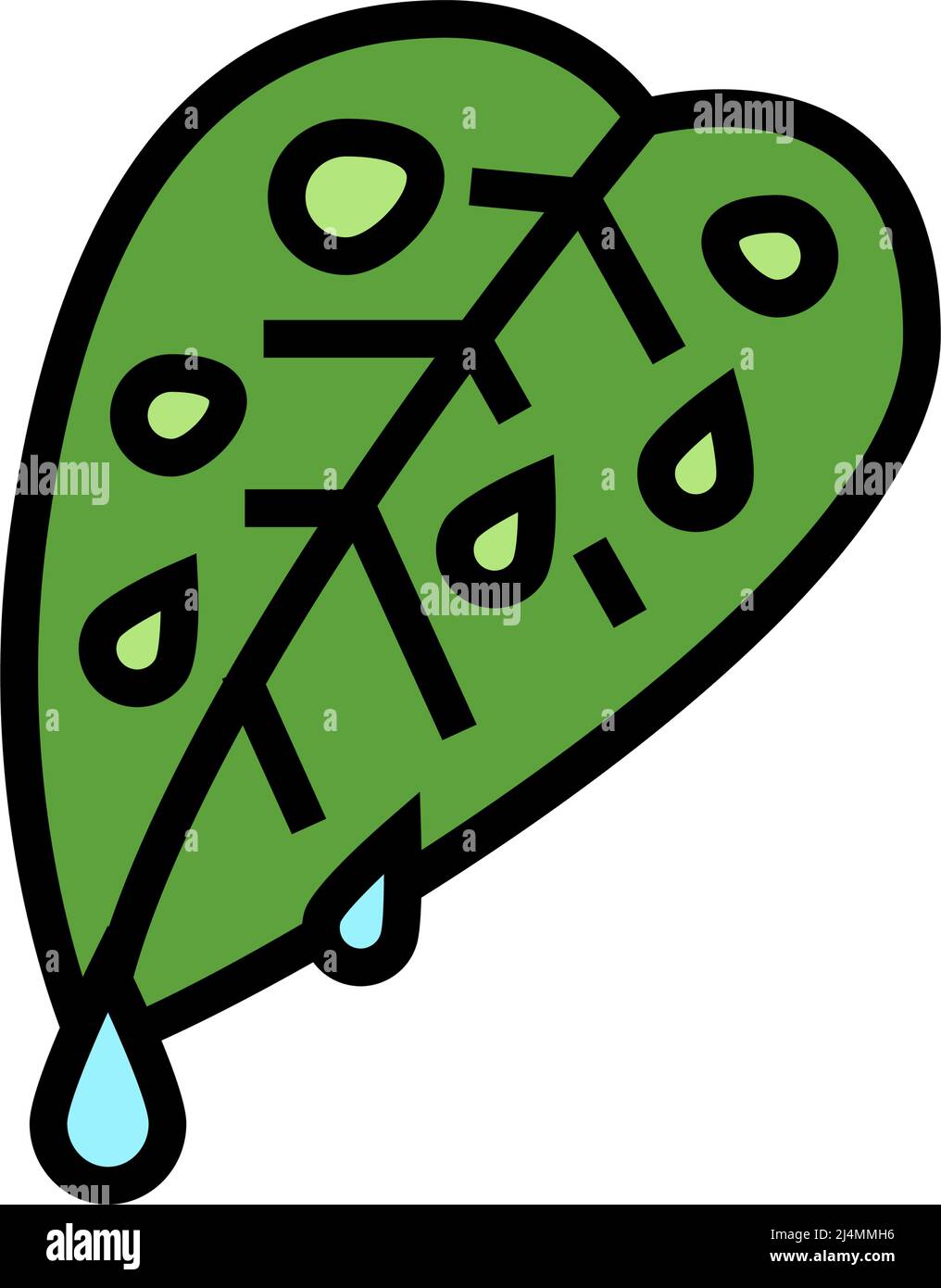 fresh leaf color icon vector illustration Stock Vector Image & Art - Alamy