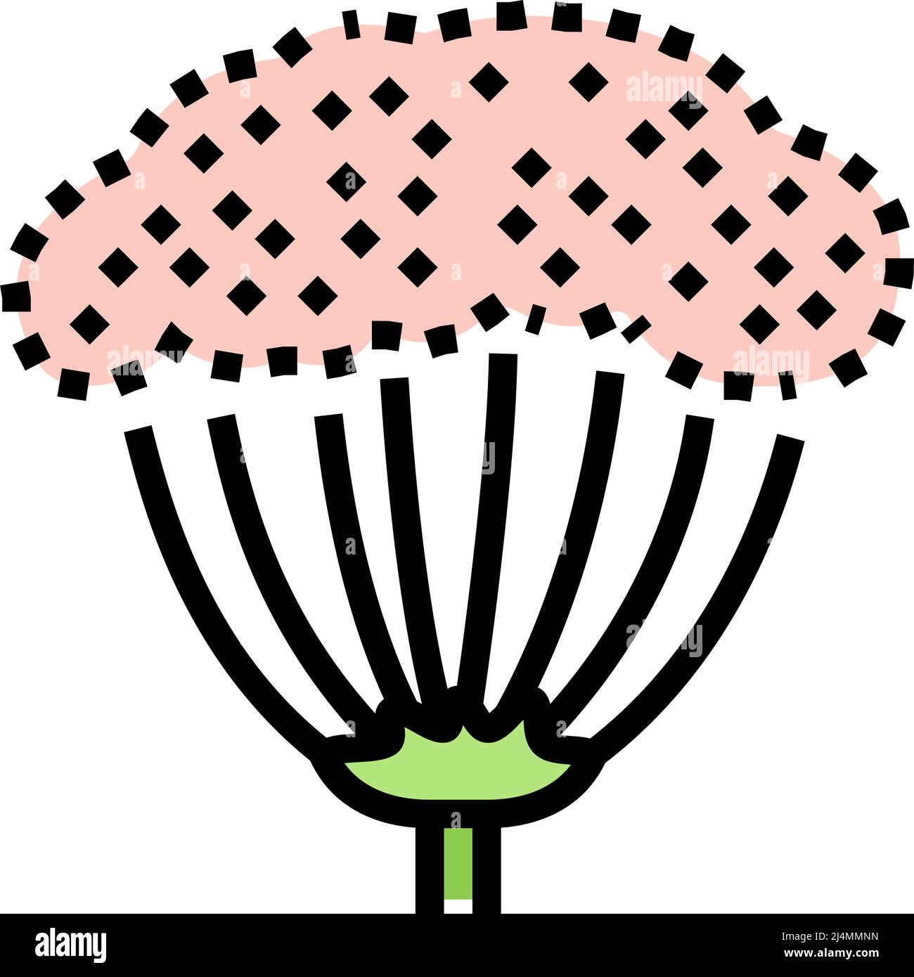 anise plant color icon vector illustration Stock Vector Image & Art - Alamy