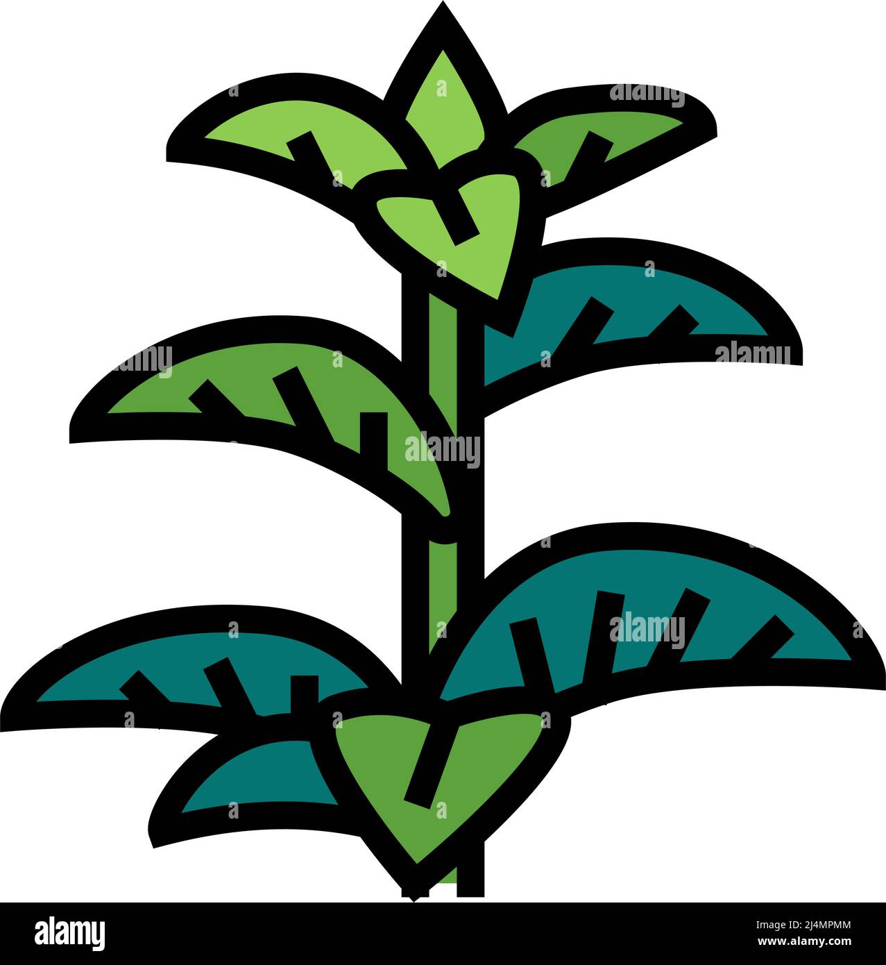 peppermint herb color icon vector illustration Stock Vector Image & Art ...