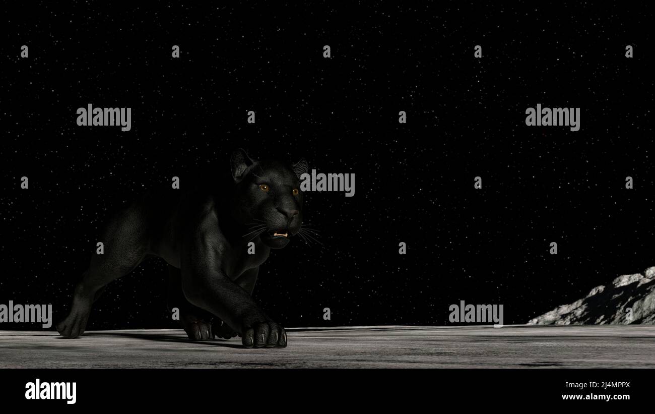 Panther in the desert background at night - 3d rendering Stock Photo ...
