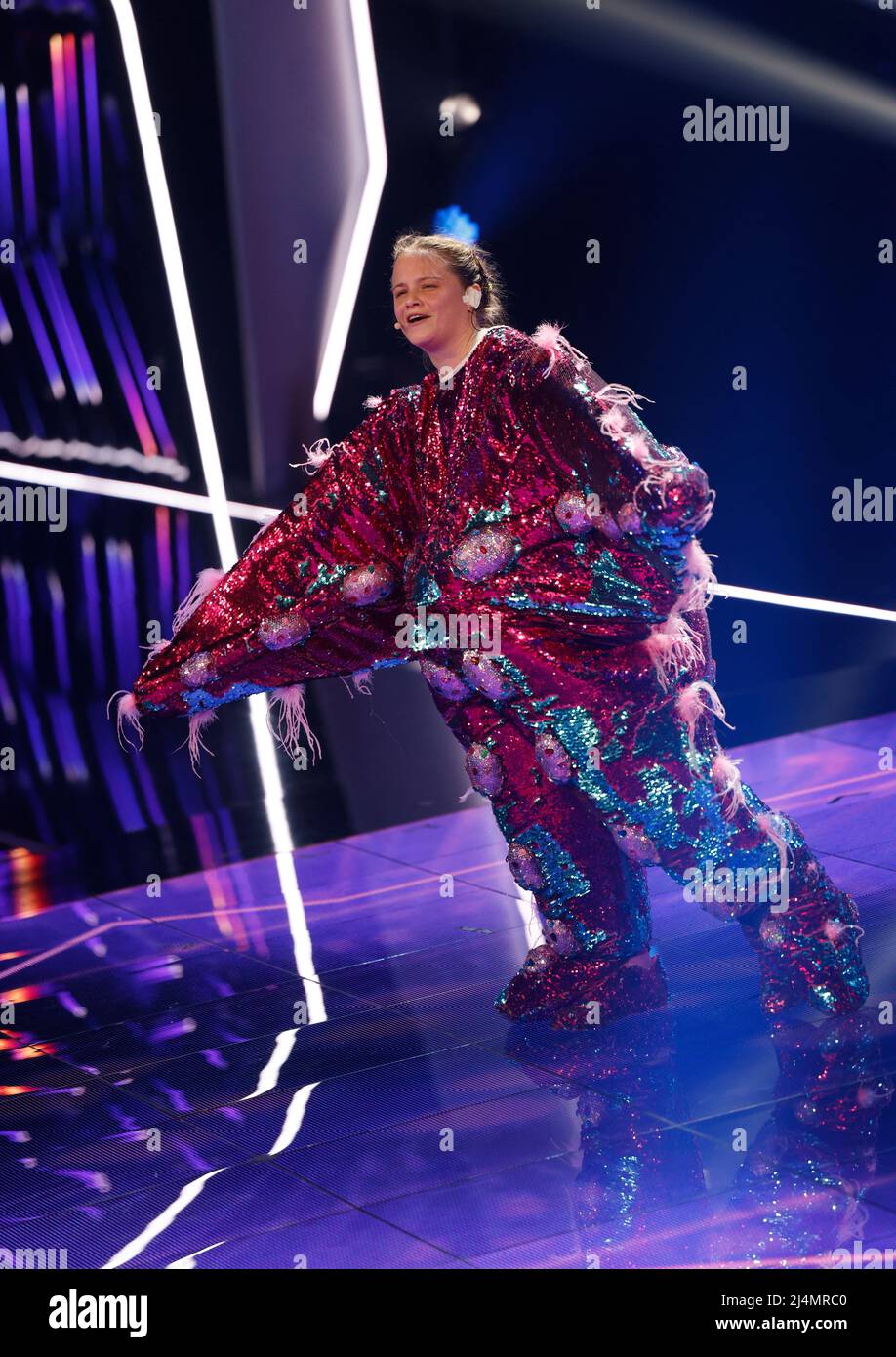 The masked singer mask hi-res stock photography and images - Alamy