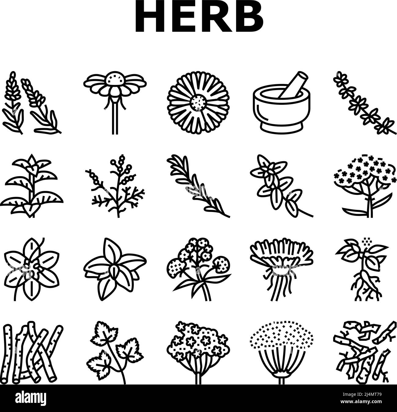 Medical Herb Natural Ingredient Icons Set Vector Stock Vector Image ...