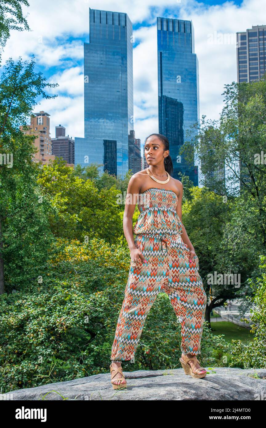 American loo hi-res stock photography and images - Alamy