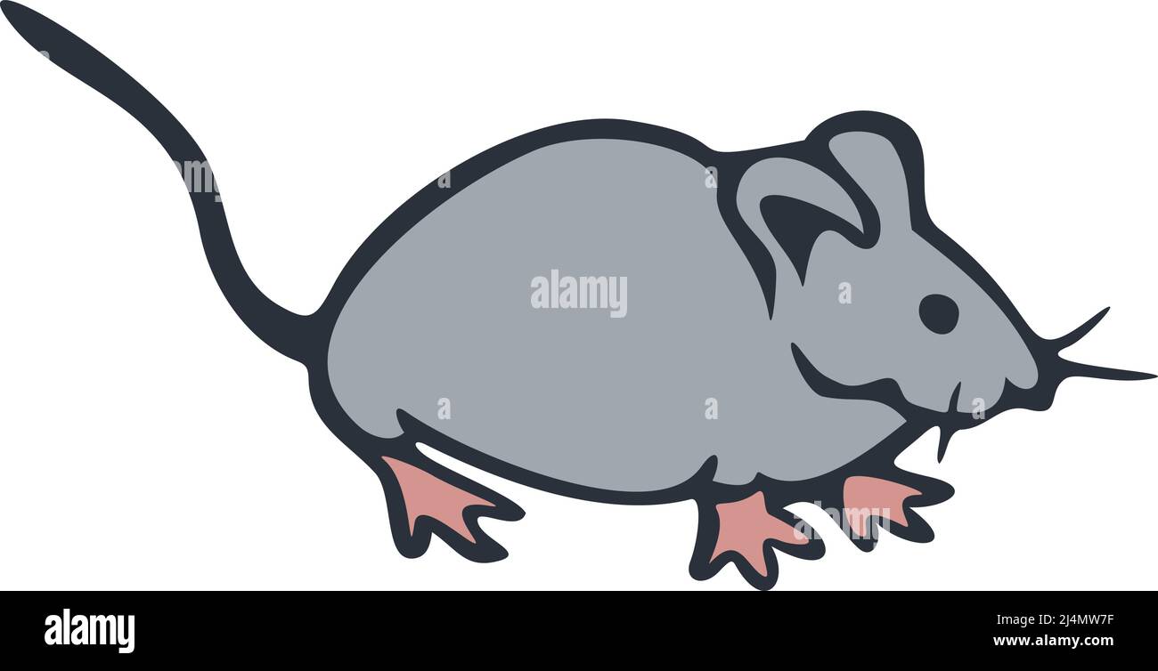 Vector illustration of little mouse. Hand drawn isolated mouse Stock ...