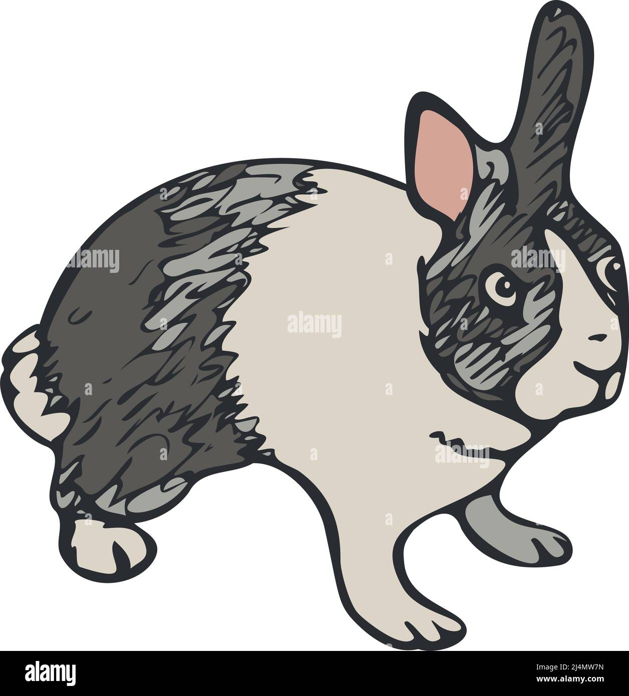 Vector illustration of hand drawn rabbit. Little bunny colored and ...