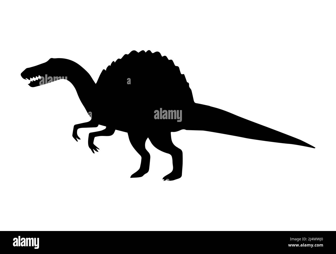 Vector black spinosaurus dinosaur silhouette isolated on white background Stock Vector Image ...