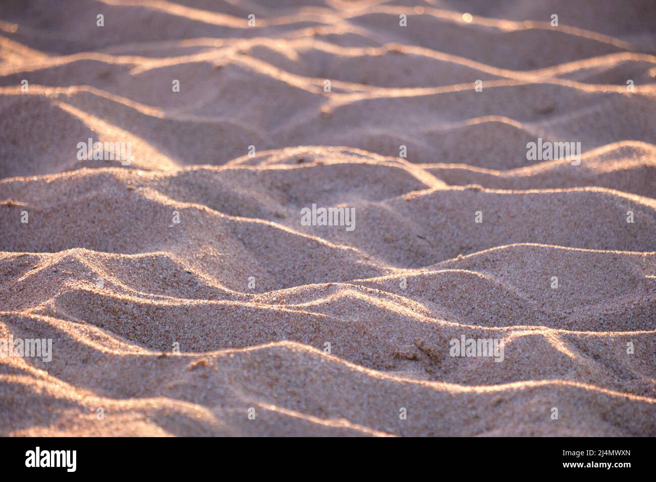 Close up of clean yellow sand surface covering seaside beach ...