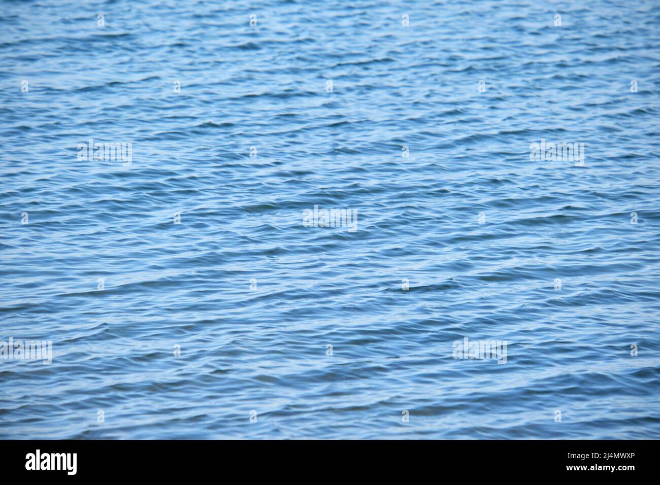 Closeup seascape surface of blue sea water with small ripple waves ...