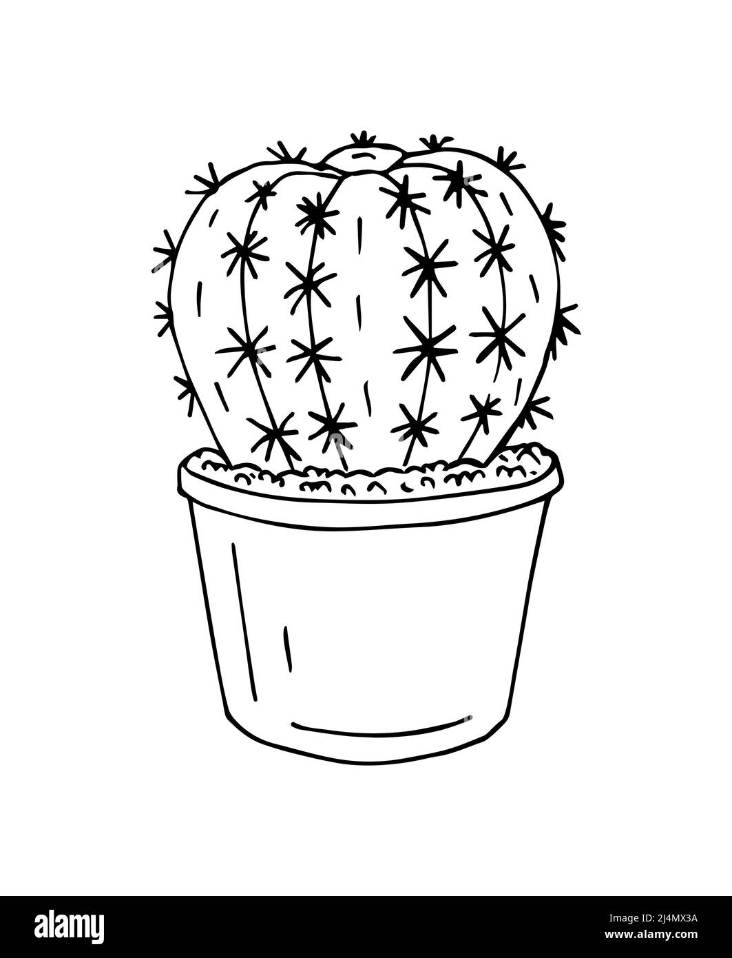 Vector hand drawn doodle sketch outline cactus in pot isolated on white ...