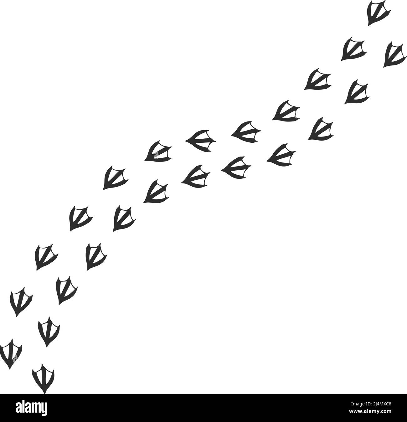 Vector black flat duck or goose foot print path isolated on white ...