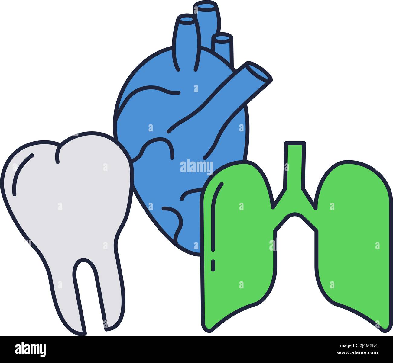 Anatomy icon vector tooth, lungs and heart Stock Vector Image & Art - Alamy