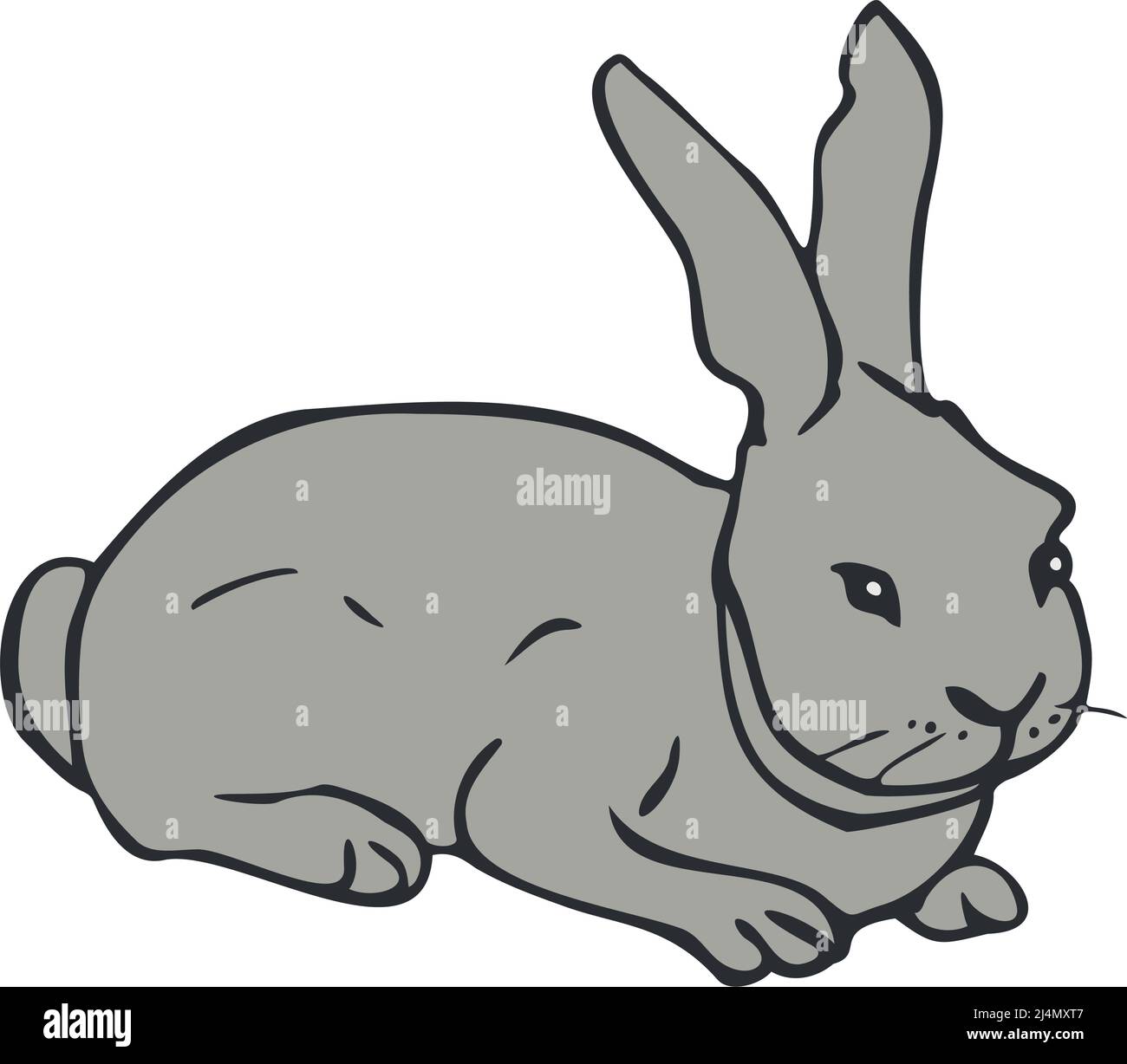 Vector illustration of grey rabbit. Hand drawn isolated bunny Stock ...