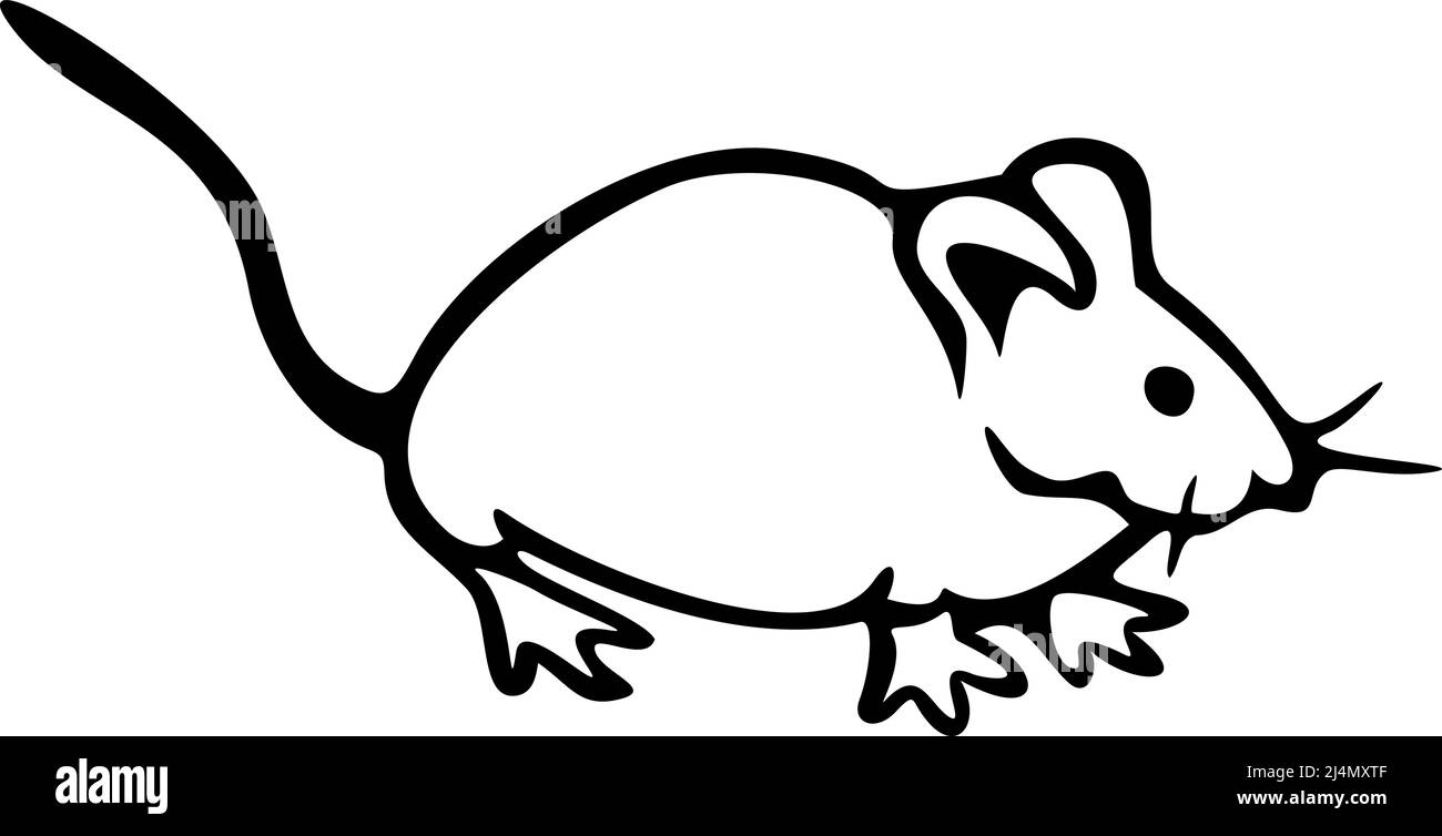 Vector illustration of hand drawn mouse. Black and white mouse Stock ...