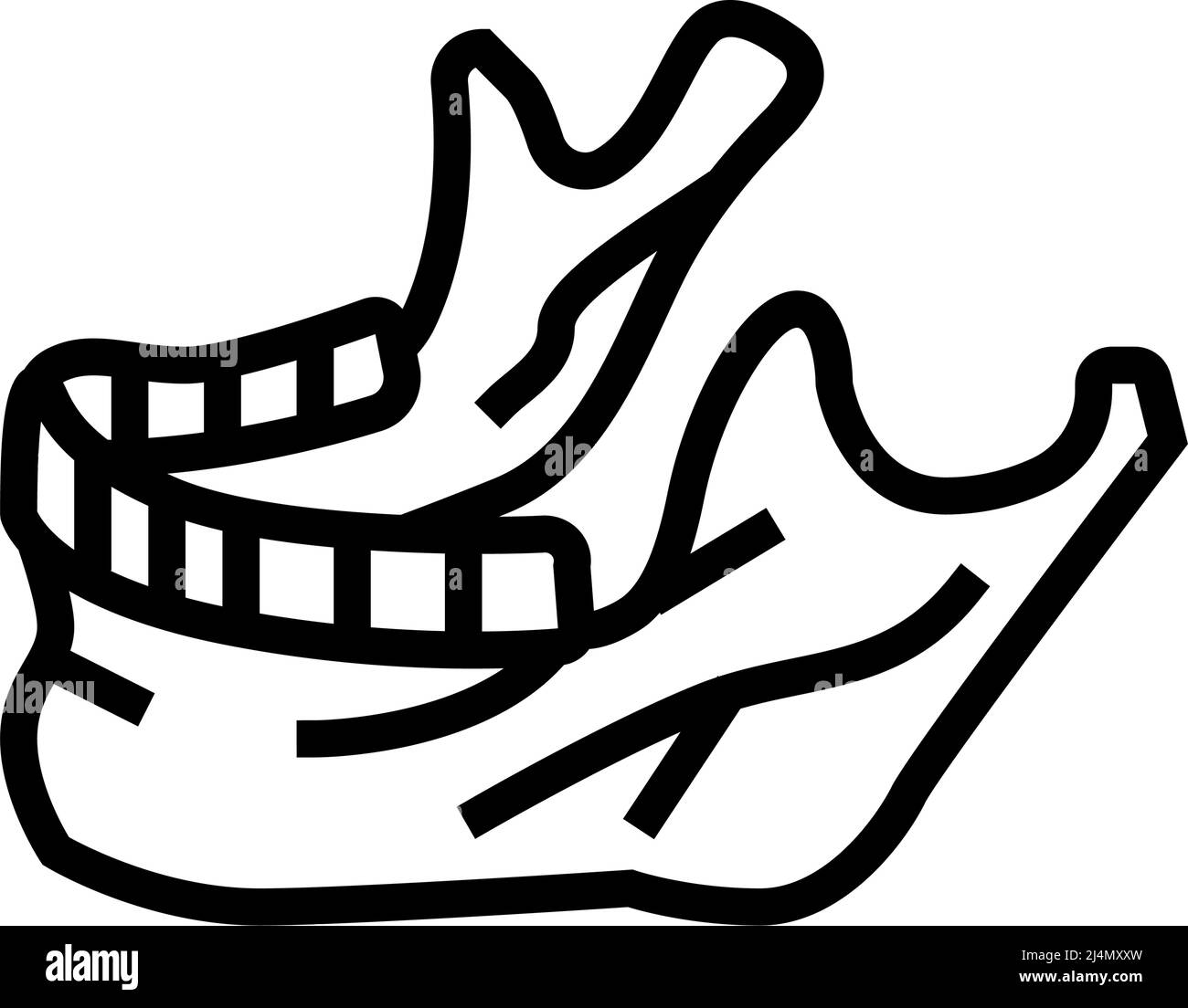 jaw bone line icon vector illustration Stock Vector Image & Art - Alamy