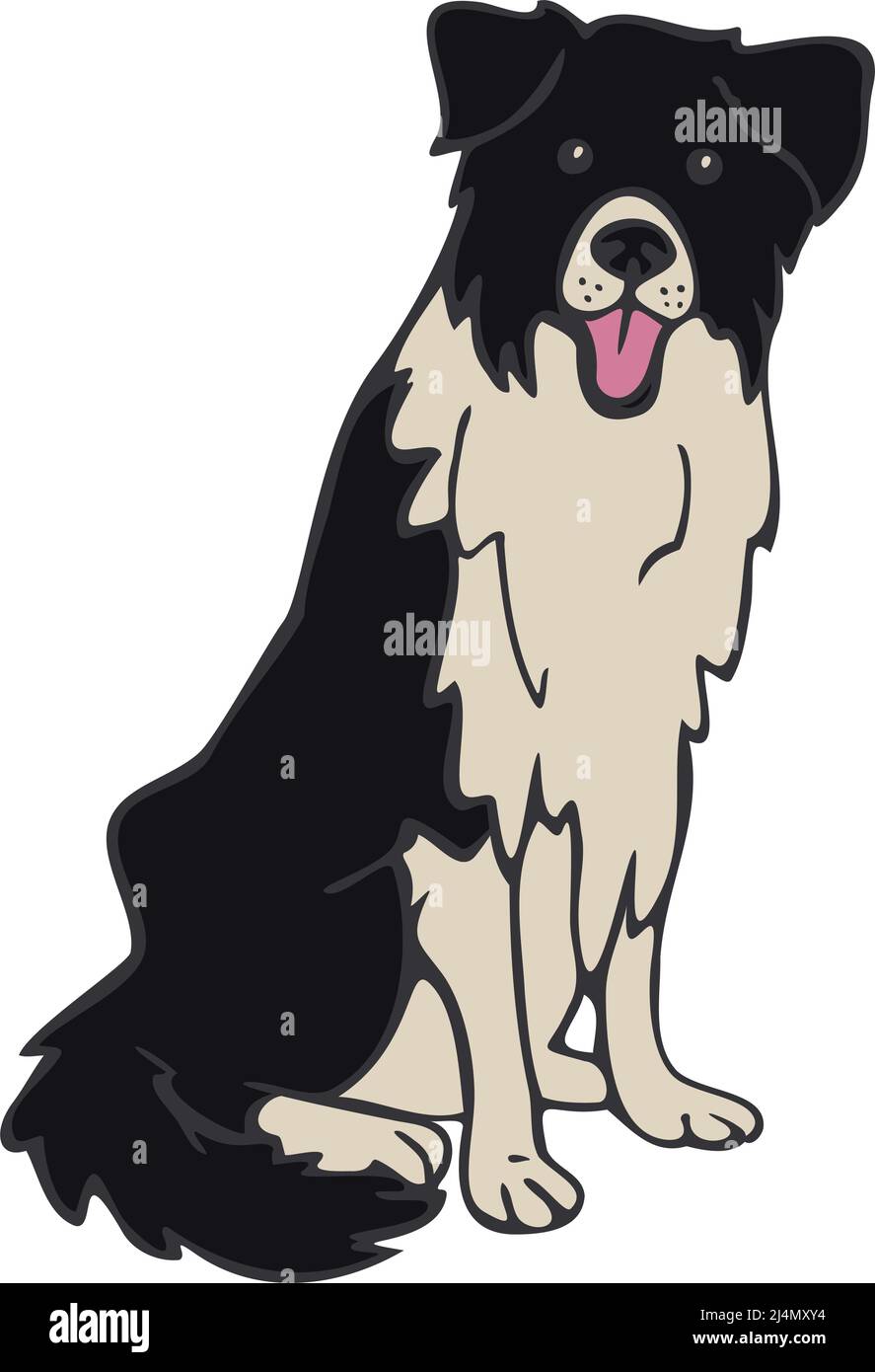 Vector illustration of border collie. Hand drawn dog Stock Vector Image ...